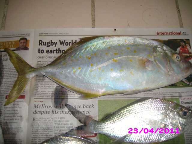 JESH & BADAH | Fishing Photo