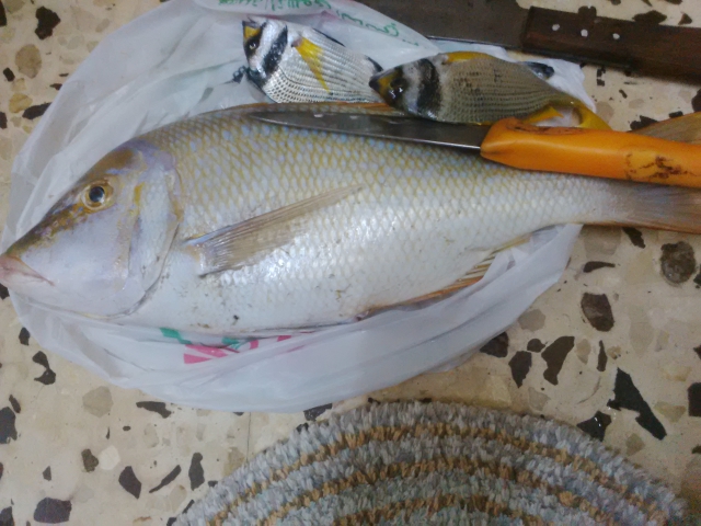 Shaari and Faskar | Fishing Photo