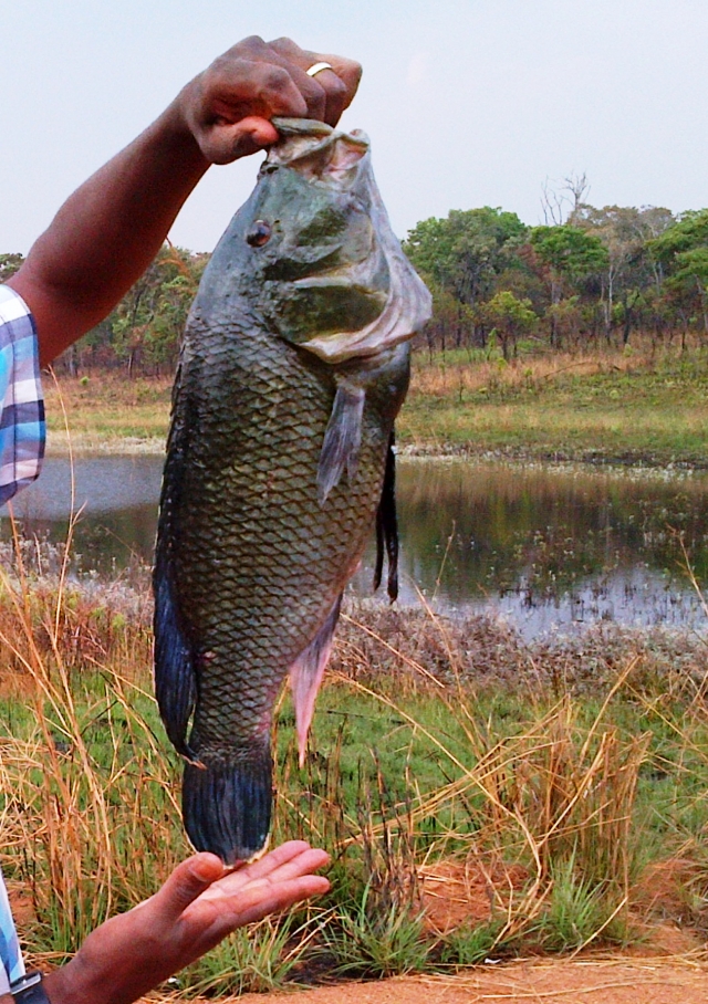 Nembwe | Fishing Photo