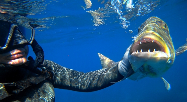 Dentex Dentex 6,7kg | Fishing Photo