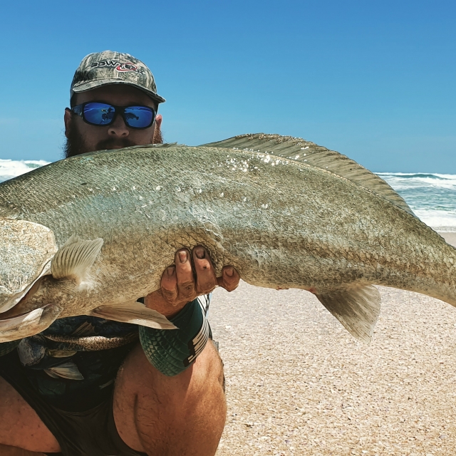 Mulloway | Fishing Photo