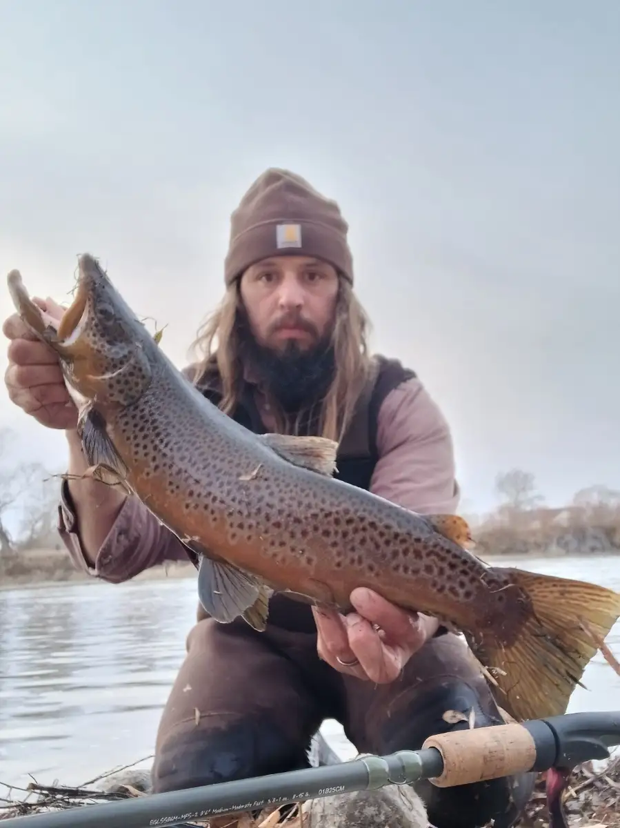 Brown Trout | Fishing Photo